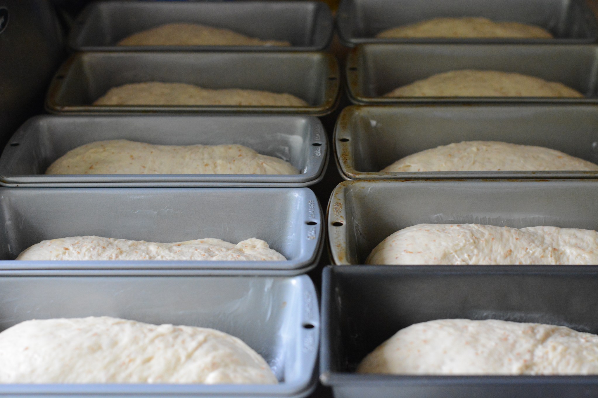 Homemade Bread Recipe! | Swanson Family Blog