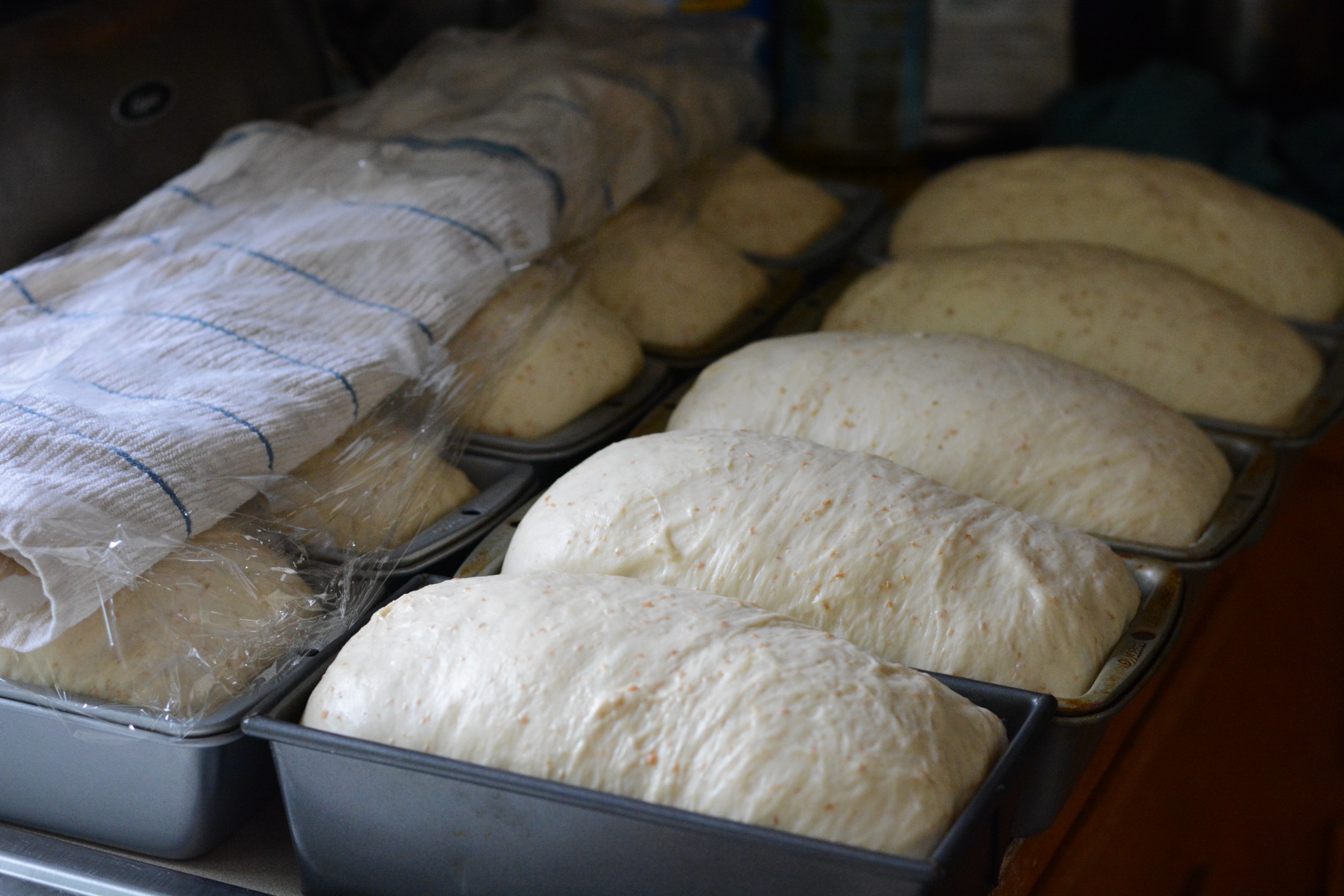 Homemade Bread Recipe! | Swanson Family Blog